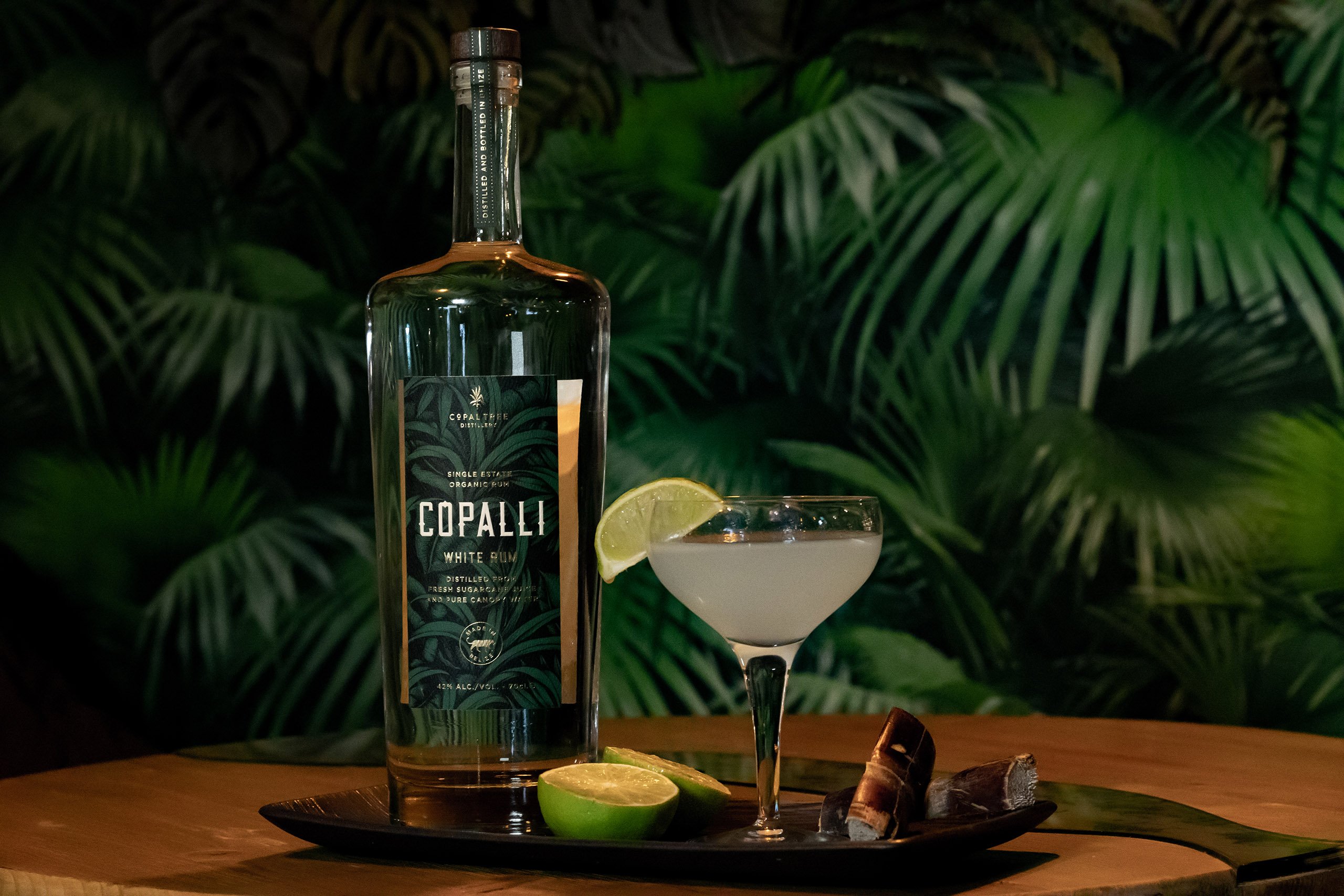 Homepage - 1492 Coloniale Group